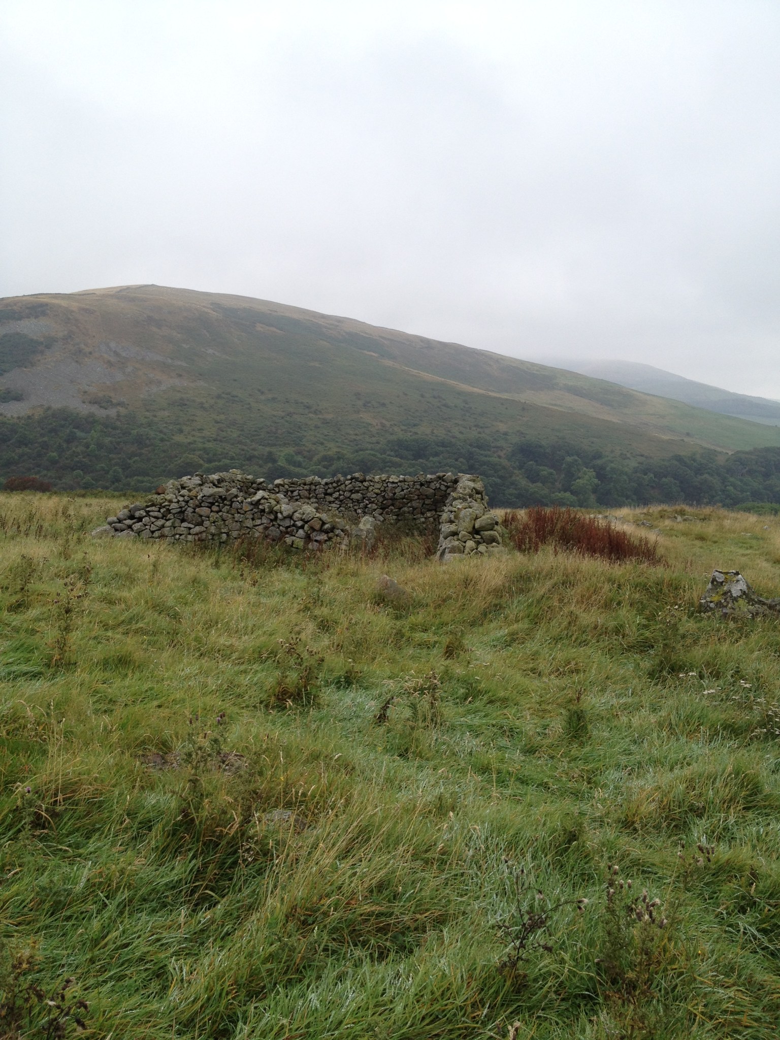 13 Ways of Looking at a Door – The Geriatric Pilgrim: Traveling the ...