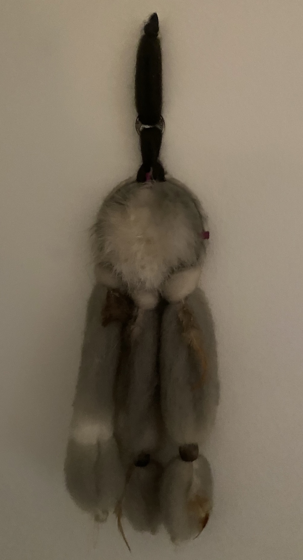 Wild Willy – The Geriatric Pilgrim: Traveling the Landscape of Faith ...